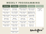 Program Comparison Chart Wonderhere