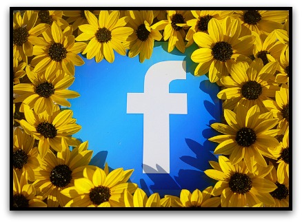 It's Time to Spring Clean Your Facebook! » The Wonder of Tech