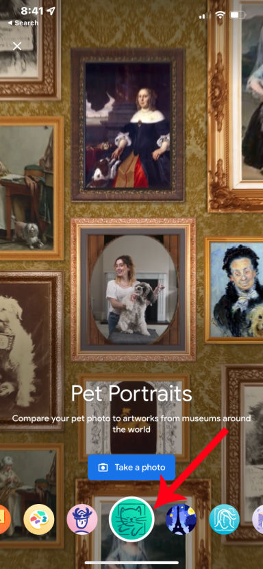 Google's Fun New Pet Portraits Feature Matches Your Pet with Famous ...