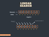 Simple Explanation On Searching Algorithms With Javascript Devcript