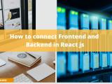 How To Connect Frontend And Backend In React Js Devcript