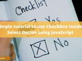 Simple Tutorial To Use Checkbox Inside Select Option Using Javascript