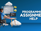 Expert Help With Any Programming Assignment Fast Reliable And