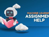 Uk Professional Machine Learning Assignment Help