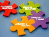 Streamlining Key Hr Talent Management For Optimal Performance