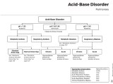 Respiratory Acid Base Disorders Diagnosis Algorithm Respiratory
