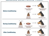 Classical Conditioning Chart Classical Conditioning Memory Guide