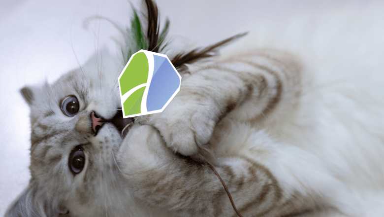 Why Flutter Needs Clojure