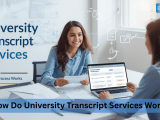How To Apply For Wes Evaluation With Correct Transcripts World