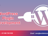 Wordpress Plugin Development Worldwin Coder