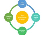 Building A Limb Preservation Program Traditional And Nontraditional Models