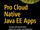 Pro Cloud Native Java Ee Apps Wow Ebook