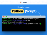 How To Run Basic Python Scripts And Code