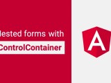Controlcontainer In Angular Solution For Nested Forms In Angular