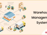 What Is Warehouse Management System 4 Types Of Wms