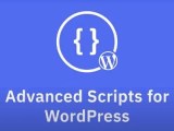 Advanced Scripts Plugin Erropix Advanced Scripts Wp99 In