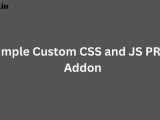 Simple Custom Css And Js Pro Plugin Wp99 In