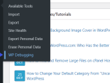 How To Find Access Wordpress Error Logs 2024
