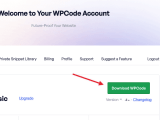 How To Install And Activate Wpcode A Step By Step Guide Wpcode
