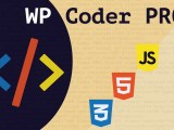 Pricing Of The Pro Version Of Wordpress Plugin Wpcoder