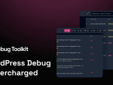 Wordpress Debug And Monitoring Tools Wp Debug Toolkit
