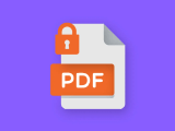 Wpdigipro Pdfsecure Addon Wpdigipro