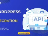 Wordpress Rest Api Complete Guide Boost Performance 2025 Wpdive