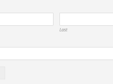 How To Choose An Include Form Styling Setting