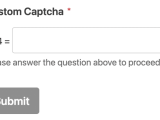 Using Custom Captcha