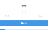 Lead Forms Addon Wpforms