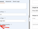 Enabling Quantity Selection In Your Payment Forms