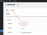 Setup Page Wpgetapi