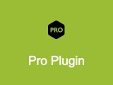 Pro Plugin Wpgetapi