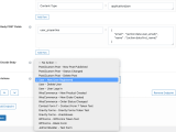 Pro Plugin Wpgetapi