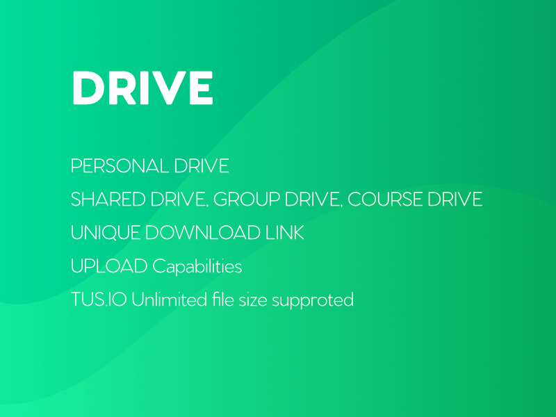 Vibe Drive - WPLMS Learning Management System