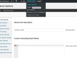 What Are Theme Options Wplook Documentation