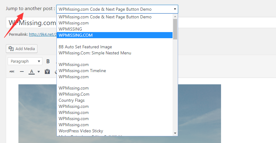 Quickly Switch Between Posts/Pages When Editing - Switch Pages | WP Missing