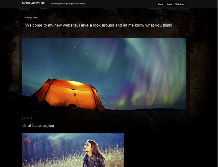 Free WordPress Themes | shankarsoma : Social Media & Digital Marketing ...