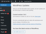 How To Get 24 7 Live Wordpress Support Wpmu Dev