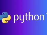 Launching The Python Sdk For The Bav Api Bav Wpp