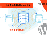 Wordpress Database Optimization The Full Guide Wp Qanda