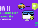 2 Best Ways How To Force Https Using Htaccess Force Ssl