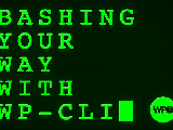 Bashing Your Way With Wp Cli Wpsessions