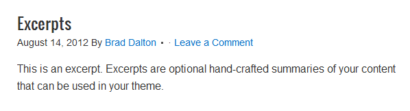 Using Excerpts & Post Summary Teasers in WordPress