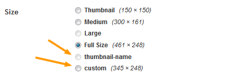 How To Add Custom Image Sizes In WordPress
