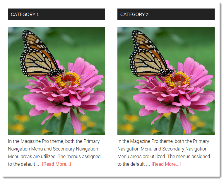 Display Featured Posts From Multiple Categories Inline Using One Widget