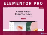 Elementor Pro Plugin Discount Offer