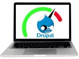 Drupal Speed Optimization Service Wpthrust