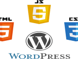 How To Edit Your Plugin Css In Wordpress Css Plugin Faqs Wp