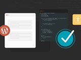 Wordpress Accessibility Development Company Wpxstudios
